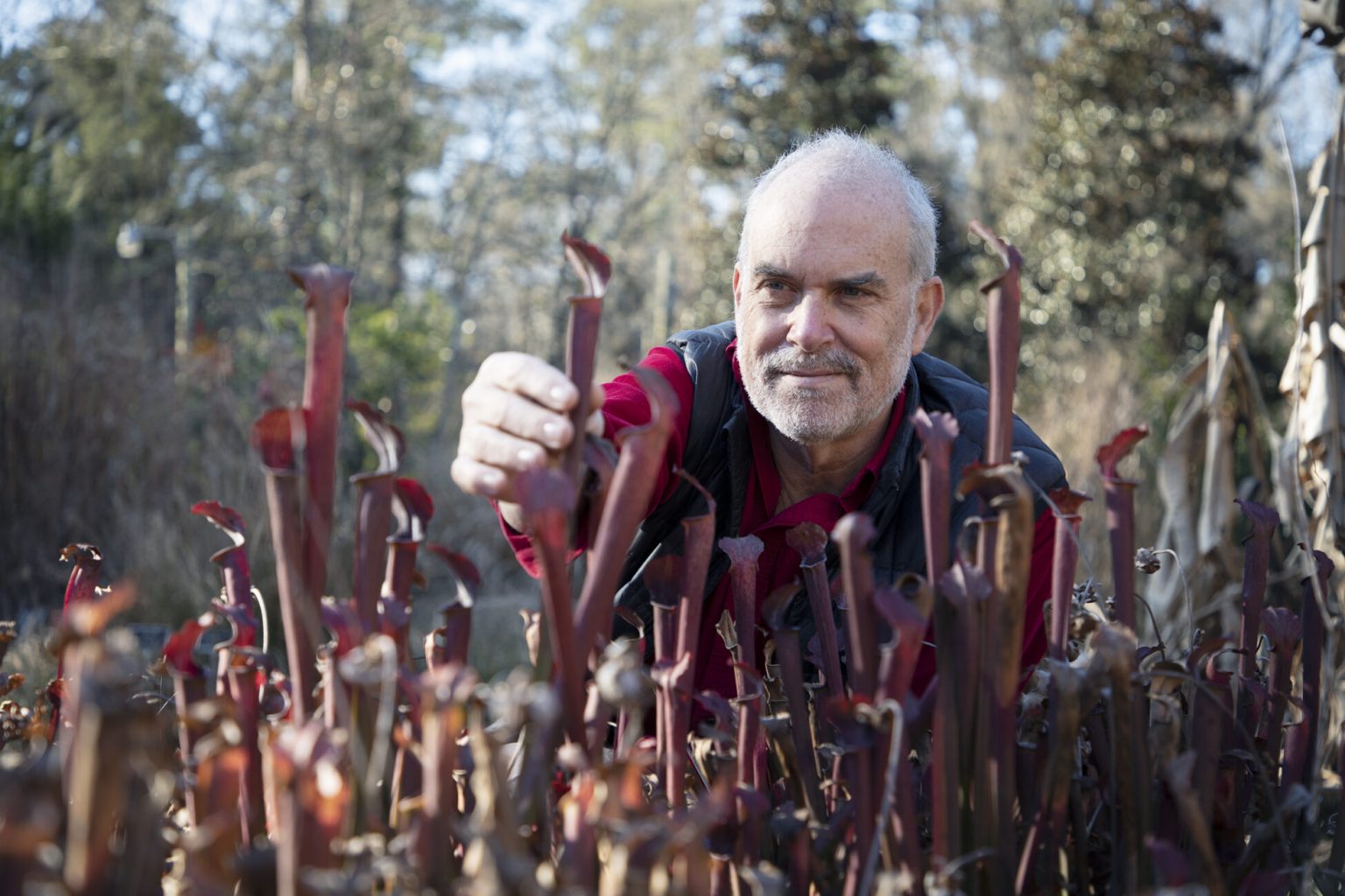 2023 Elizabeth Anne Bartholomew Award: Alan S. Weakley – The Southern ...